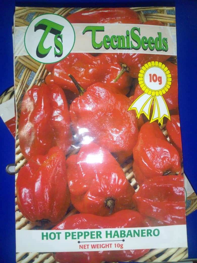 Tecni Hot Pepper Seed (10g) - HTS Farms