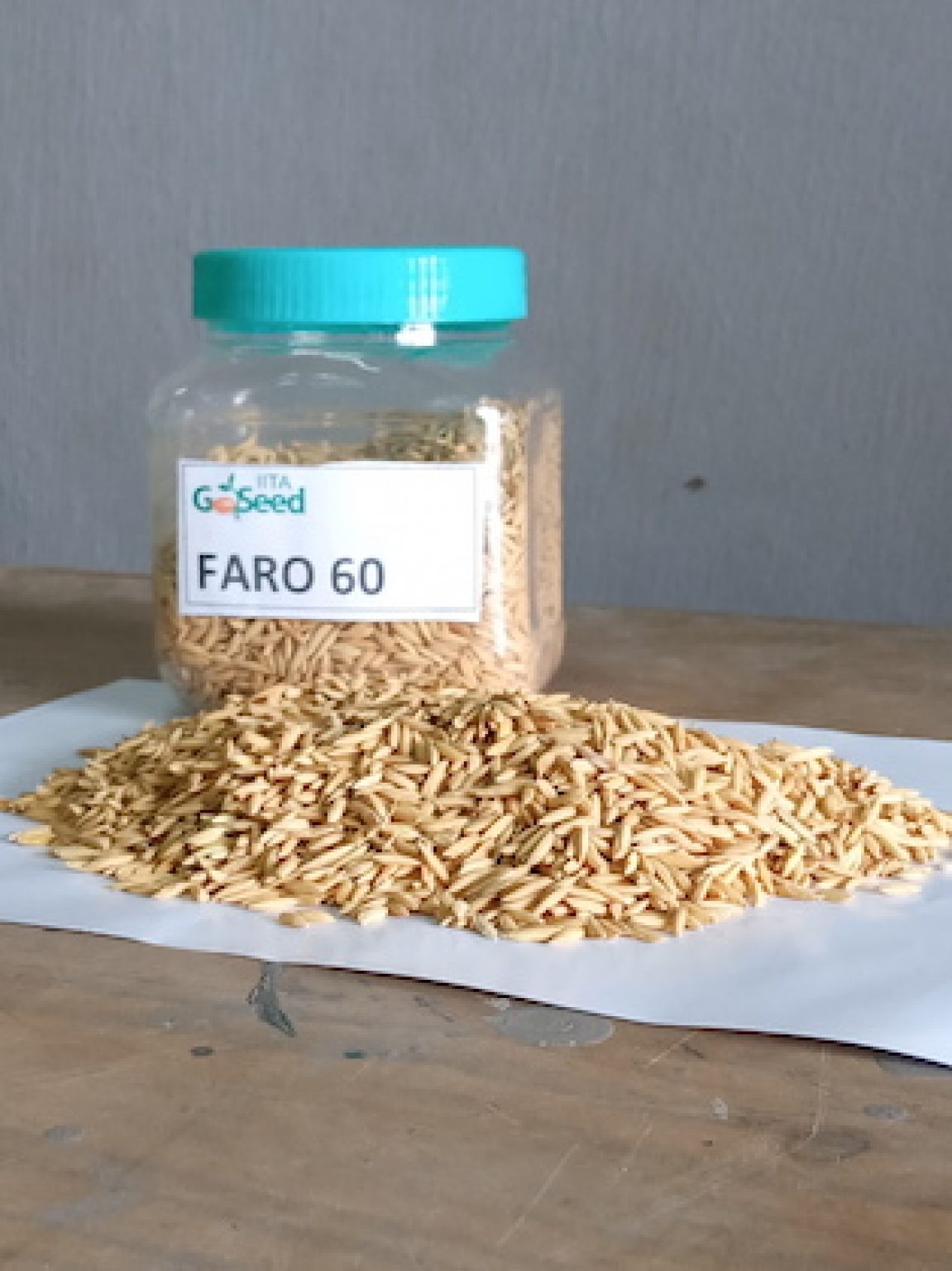 Faro 60 (NERICA L 19) Rice Seed - HTS Farms