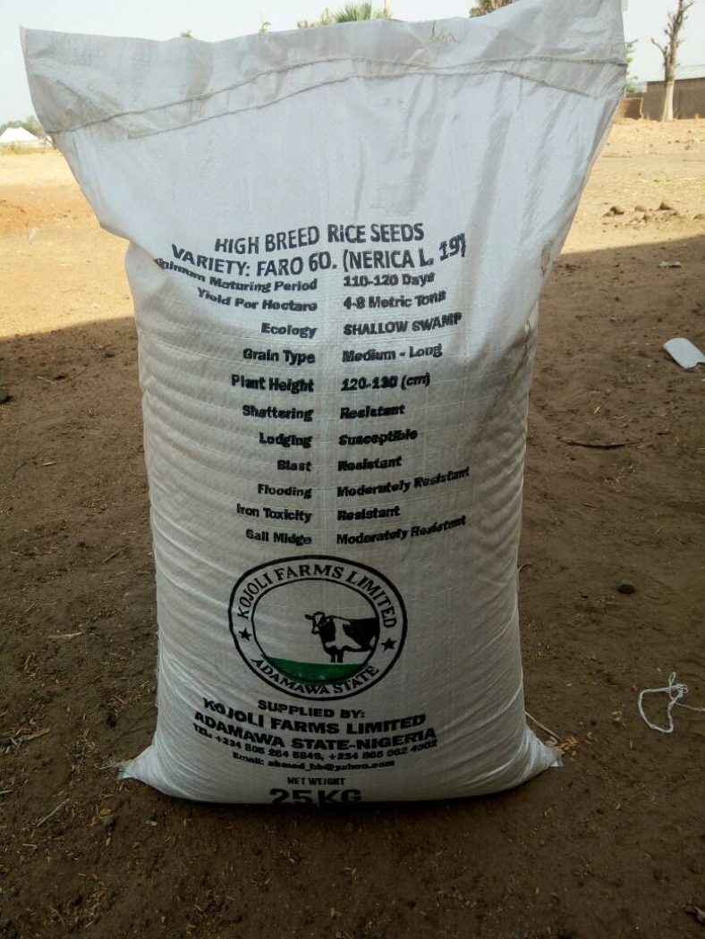 Faro 60 (NERICA L 19) Rice Seed - HTS Farms