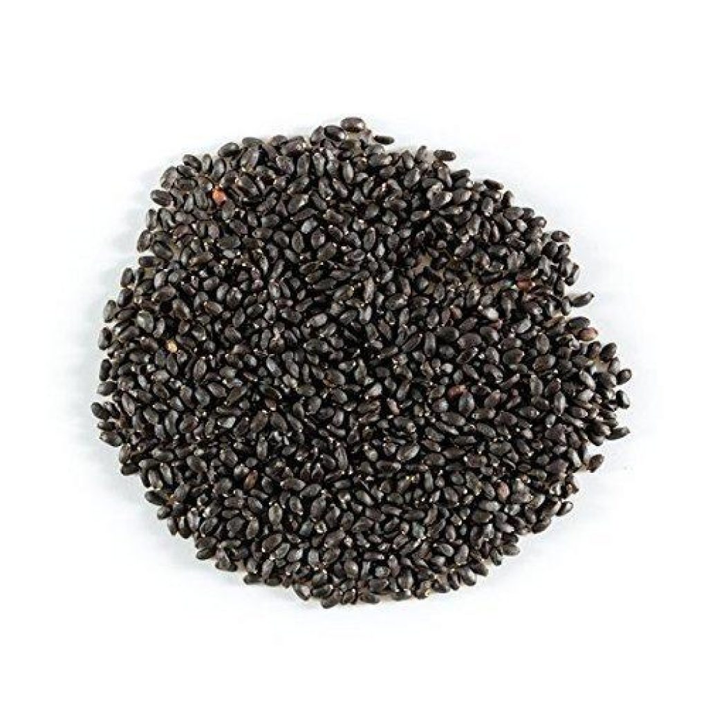 Local Basil Seeds (25g) - HTS Farms