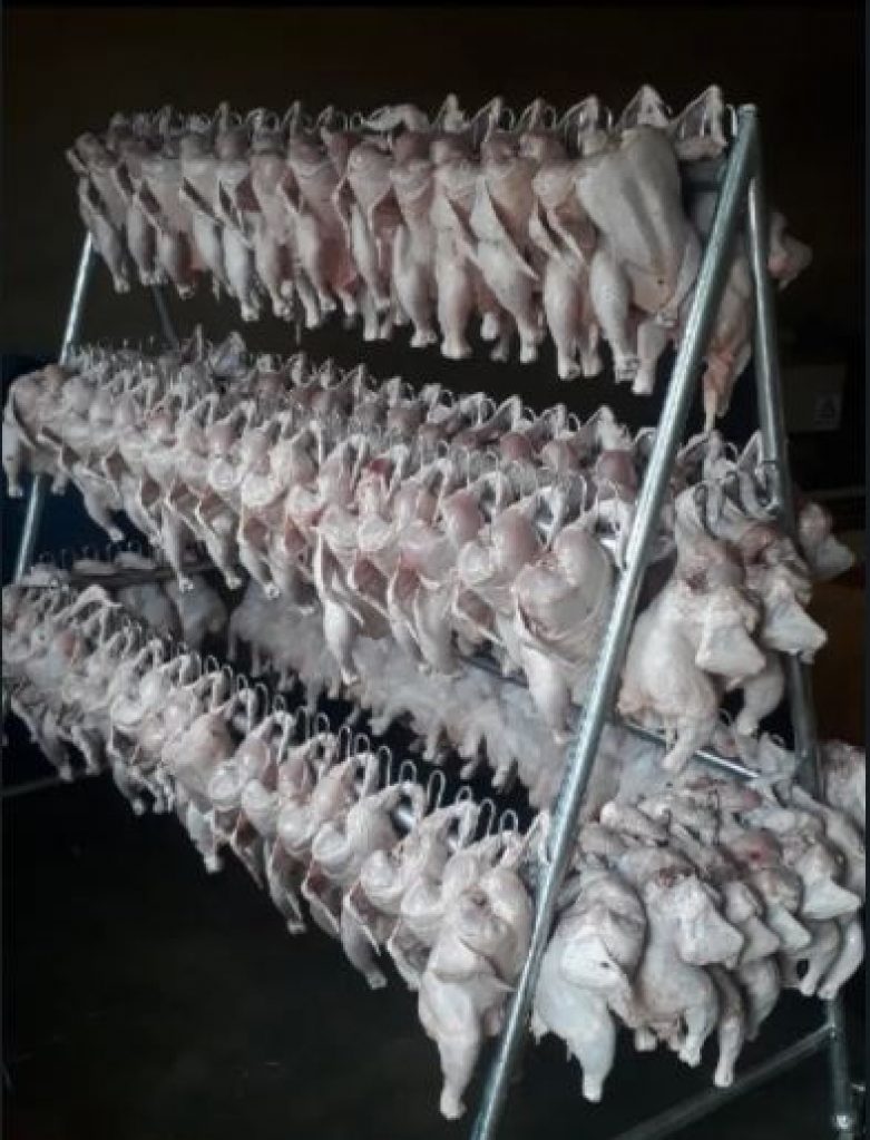 Stainless Chicken Processing Drip Hanger - HTS Farms