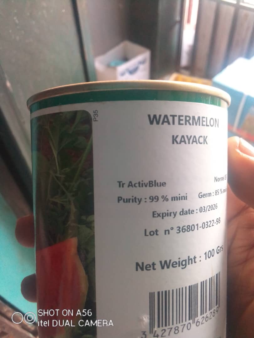 Technisem Kayack Watermelon Seed (100g) - HTS Farms