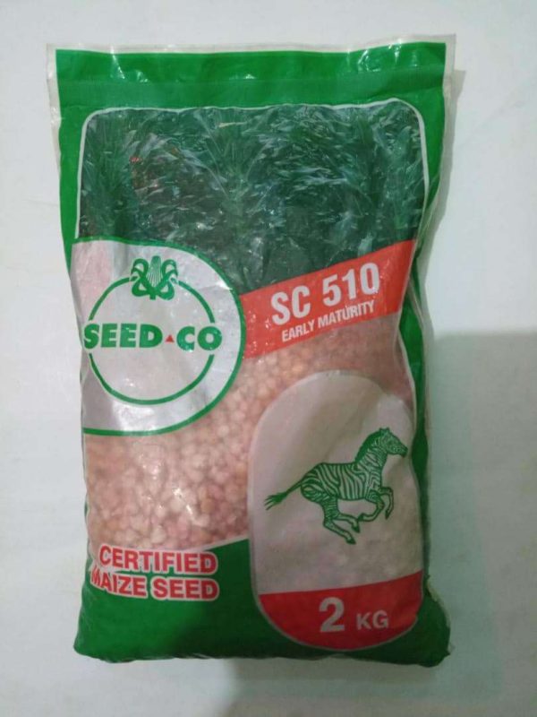 Seed Co Maize Seeds (SC 510 Early Maturity) | 5kg - HTS Farms