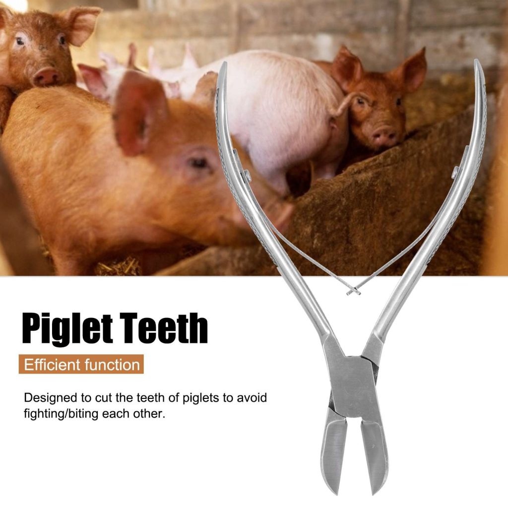 Durable Piglet Teeth Clippers for Livestock Farming & Production