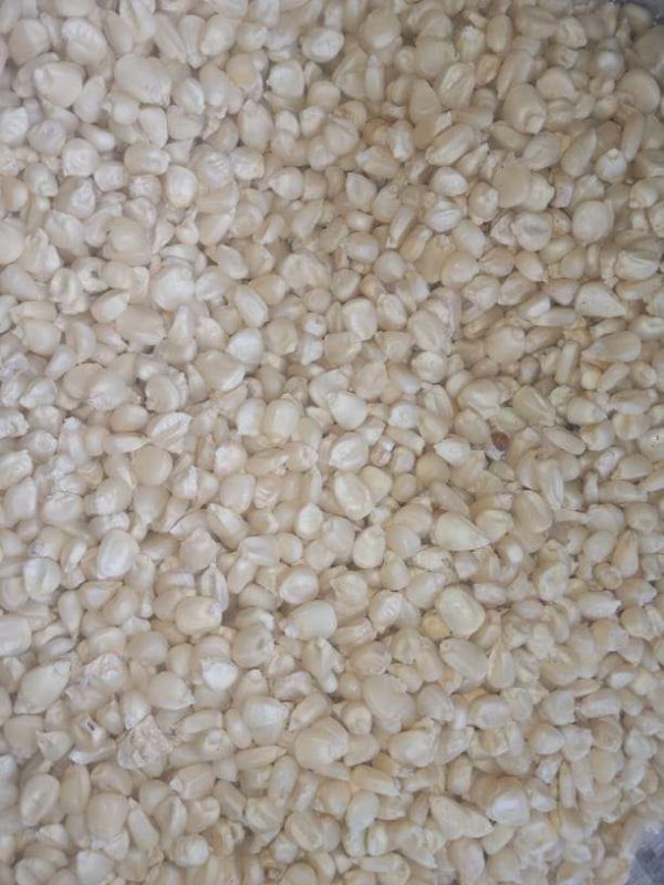 Bag of White Maize (100kg) - HTS Farms