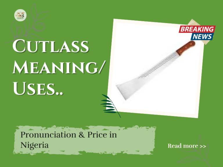 Cutlass – Meaning, Uses, Pronunciation & Price in Nigeria - HTS Farms