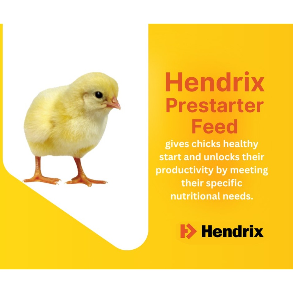 Hendrix Pellet Feed (Pre-Starter and Grower) | 25kg (MOQ: 50 Bags ...