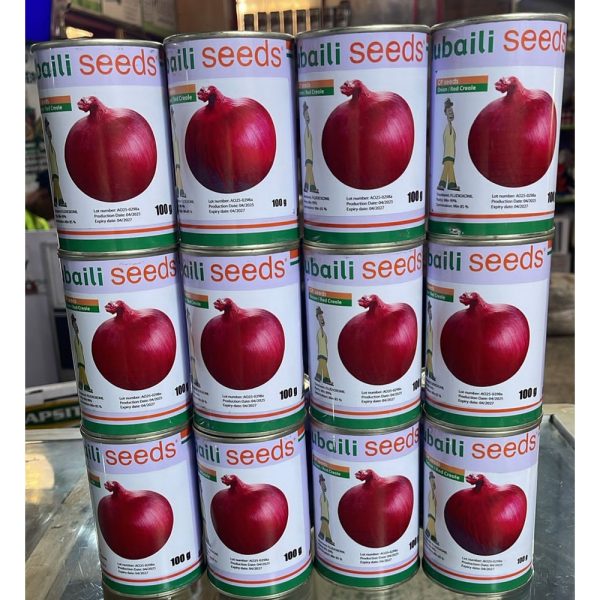 Onion Red Creole Seeds (Jubaili) | 100g - HTS Farms